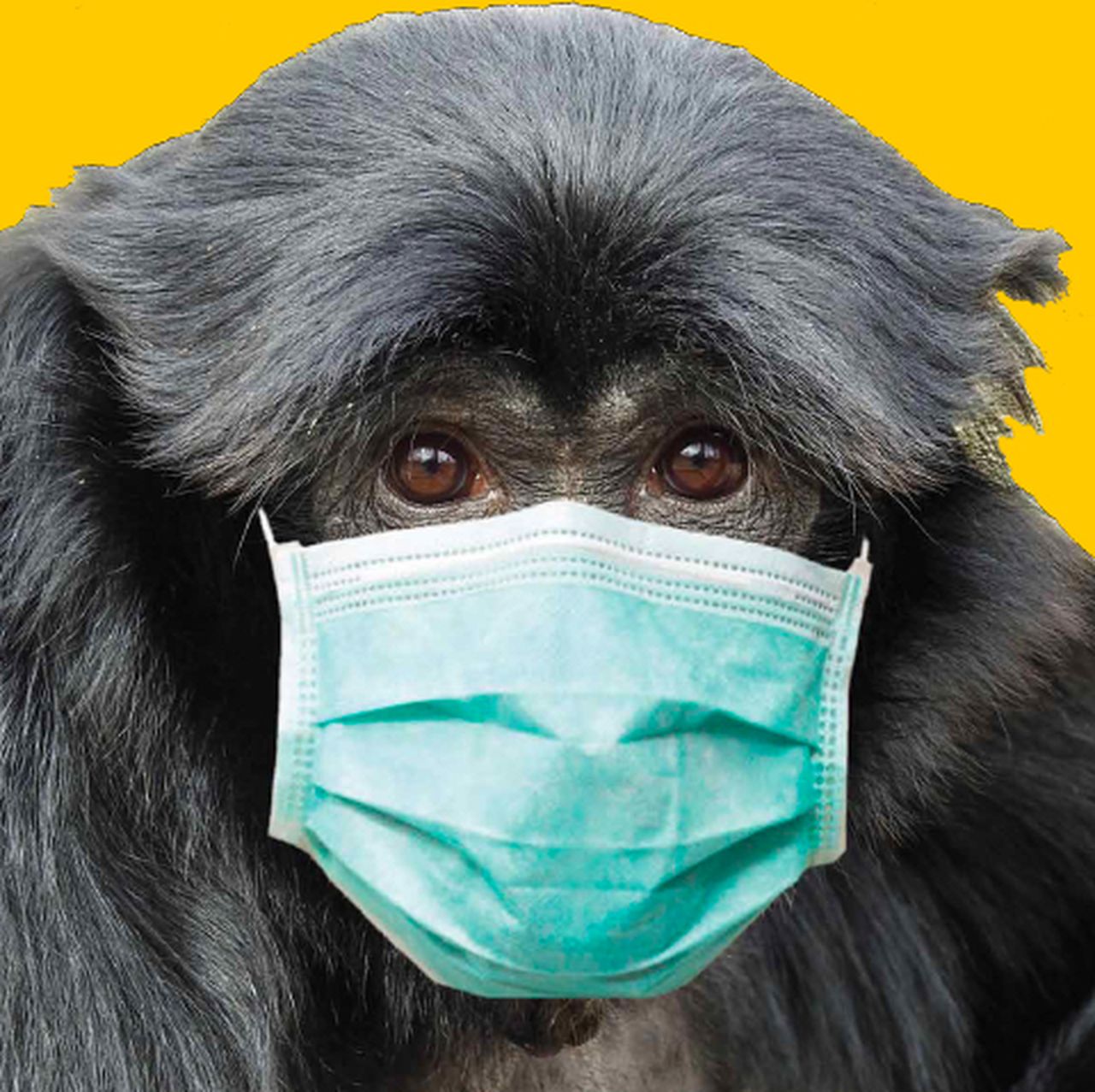 Weapons of Manipulation | Female Warrior - The Toltec Path